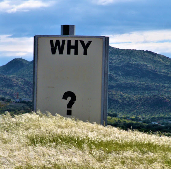 Sql Server Qanda Does Sql Server Have A Boolean Data Type Is That A Bit 8976