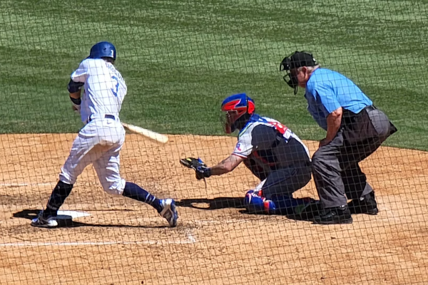 What has ChatGPT got to do with Baseball Umpiring? - The Bit Bucket